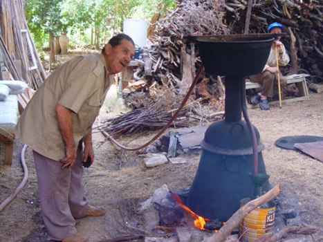 كركة عرق بلدي في #بطرام | Koura.org Koura.org
